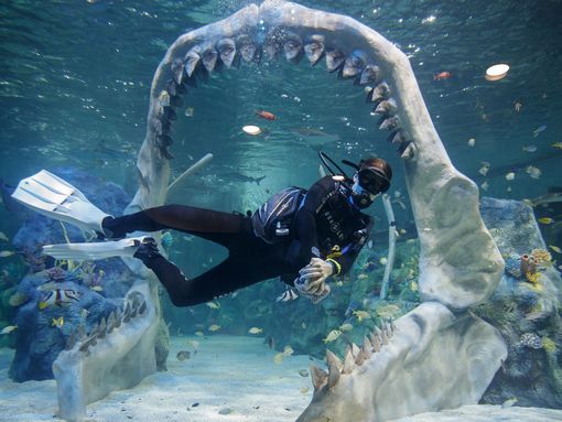 Sports and activities n the UK | VisitBritain