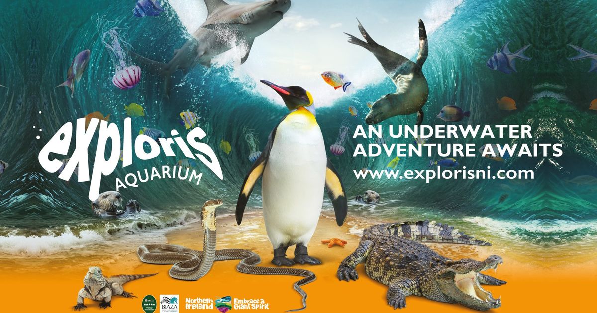 Buy Portaferry Exploris Aquarium tickets | VisitBritain