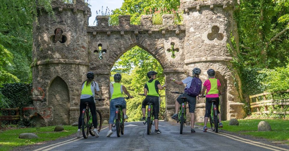 Tollymore Forest Guided E Bike Tour | VisitBritain