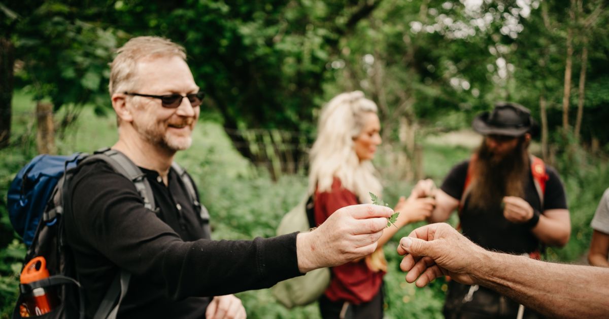 Batman's Waterfall and Foraging | VisitBritain