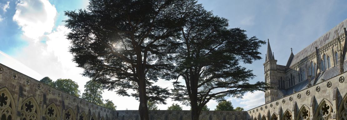 Salisbury Cathedral and the 1215 Magna Carta | VisitBritain