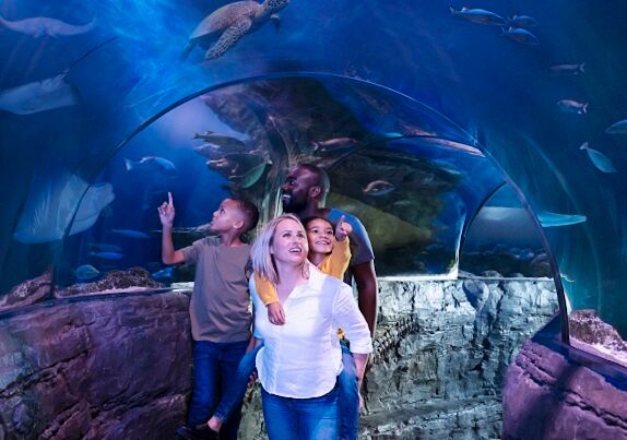 Buy Manchester SEA LIFE Centre tickets | VisitBritain